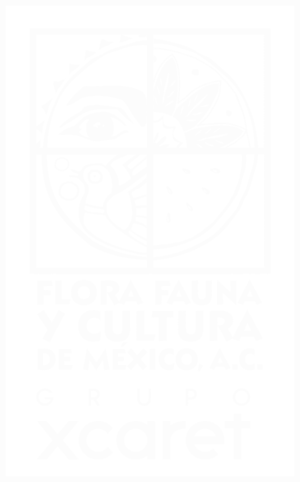 Un recurso limitado - FFCM